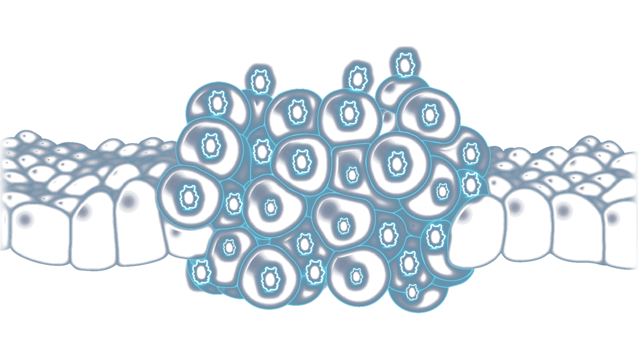 Cartography | Biosciences